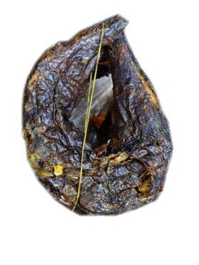 Buy Asa Fish - Large x1 (Dried) in Nigeria | Naija Meat, Poultry & Sea ...