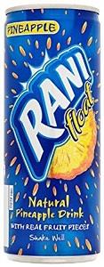 Buy Rani Float Pineapple 24 cl in Nigeria | Fruit Juice & Flavoured ...