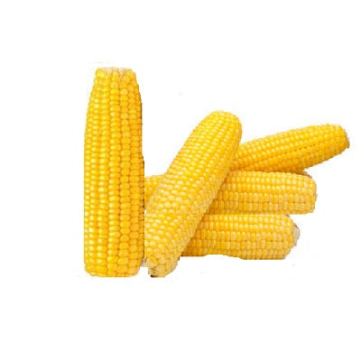 Buy Corn On The Cob - Peeled (Raw) x10 in Nigeria | Naija Ingredients ...