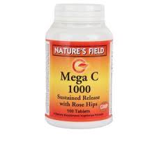 Buy Nature's Field Mega C 1000 mg 100 Tablets in Nigeria | Vitamins ...