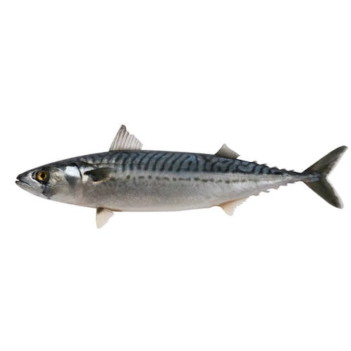 Buy Panla Fish 1 kg - Frozen - Frozen in Nigeria | Naija Meat, Poultry ...