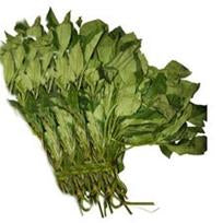 Buy Ugwu - 5 Bundles - Whole in Nigeria | Naija Ingredients | Supermart ...