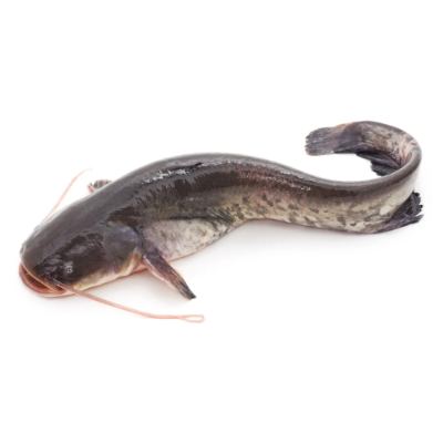 Buy Catfish - Cut Up in Nigeria | Naija Meat, Poultry & Sea Food ...